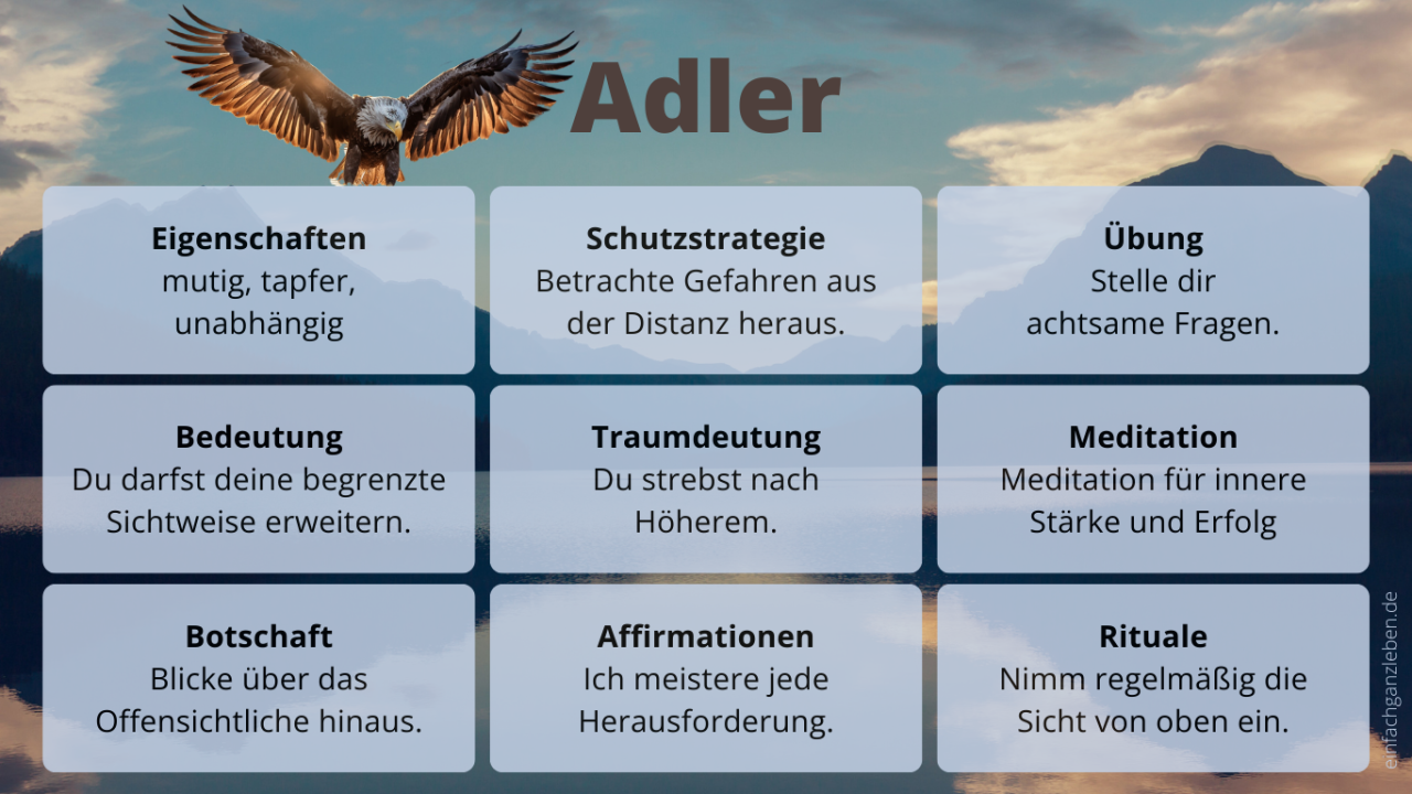 Krafttier Adler: Bedeutung, Botschaft und Schutzstrategien