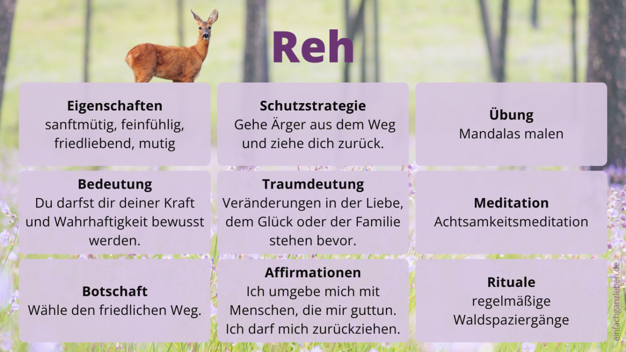 Krafttier Reh: Bedeutung, Botschaft und Schutzstrategien