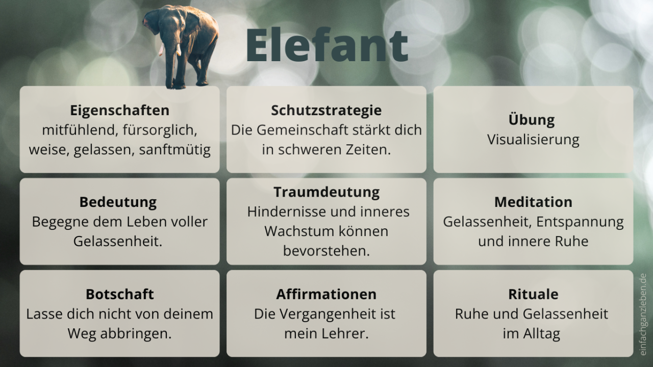 Krafttier Elefant Bedeutung